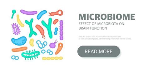 Microbiome Vector Art Icons And Graphics For Free Download