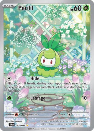 Tika Matsuno ‹ Pkmncards