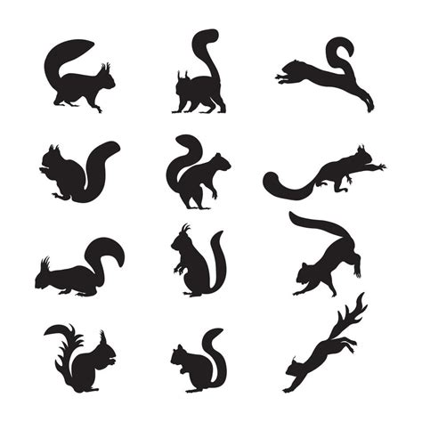 Set Squirrel Silhouette Vector Illustration 20411724 Vector Art At