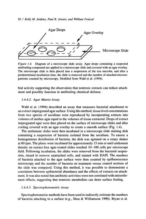 Agar Overlay Assay Big Chemical Encyclopedia