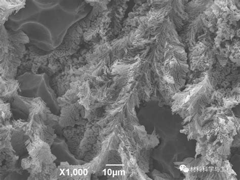 【投票】材料之美！第九届材料微结构大赛入围作品，你喜欢哪些？ 知乎