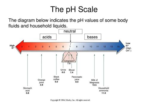 Ppt Chemistry Of Life Powerpoint Presentation Free Download Id1130859