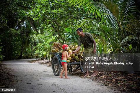 Girl With Coconut Photos And Premium High Res Pictures Getty Images