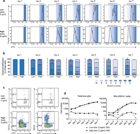 High Levels Of Flt3l Promote Cell Division And Dc Generation In Download Scientific Diagram
