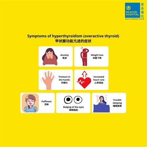 Thyroid Profile Report Understanding Tsh T3 And T4 Results Beacon