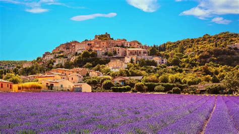 Guided Tours And Trips In Provence Guided Tours In South Of France