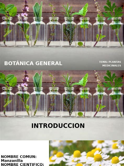 Botánica General Pdf