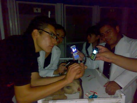 Ninos Medicine Salpingectomía Bilateral Superada