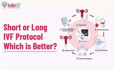 Short Or Long Ivf Protocol Which Is Better India Ivf Fertility