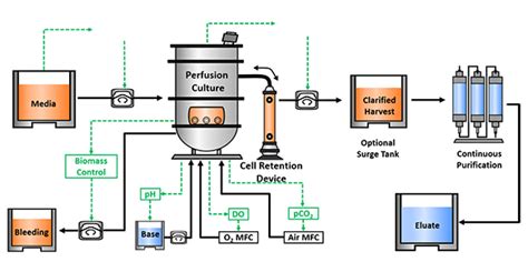 Is Continuous Biomanufacturing A Good Fit For Your Process