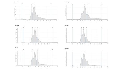 Tapestation Traces Of Atac Libraries Download Scientific Diagram