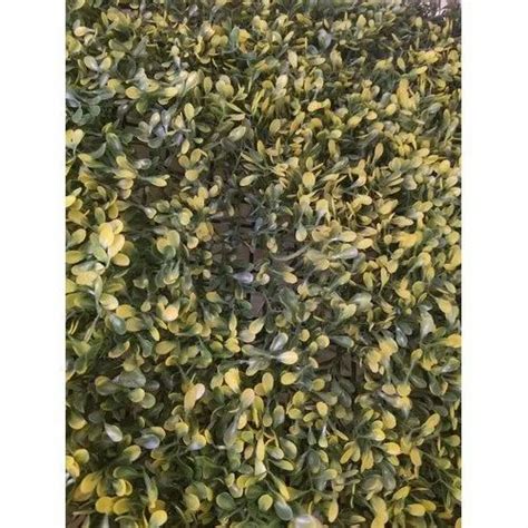 Pe Plain Artificial Grass For Garden Packaging Type Roll At Best