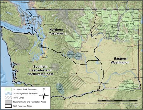 Washington Wolf Population Soars To 260