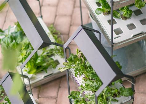 Ikea Moves Into Indoor Gardening With Hydroponic Kit