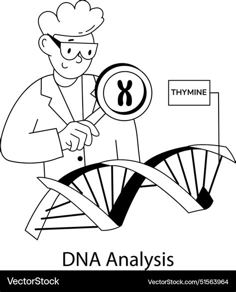 Dna Analysis Royalty Free Vector Image Vectorstock