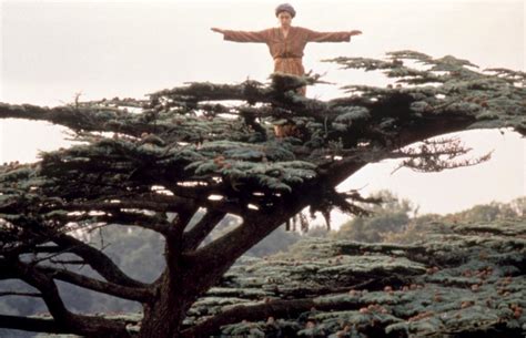 Phoebe Cates Actress