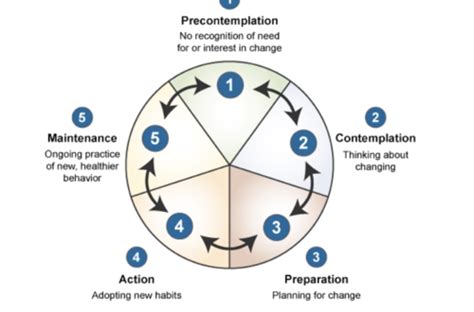 Foundations Exam 3 Dph Flashcards Quizlet Foundations Exam 3 Dph Flashcards Quizlet
