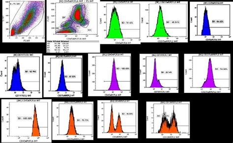 Sequence Of Analysis Of The Immunophenotype By Flow Cytometry Dot