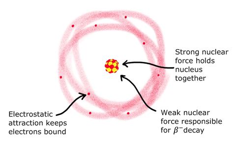 The Fundamental Forces Of Nature For A Level Physics Science Sanctuary