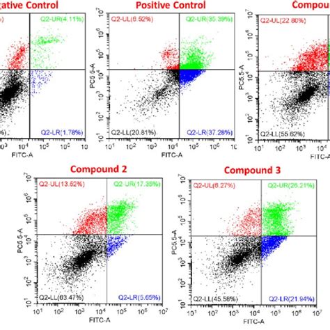 Viable Early Apoptotic Late Apoptotic And Necrotic Cell Populations