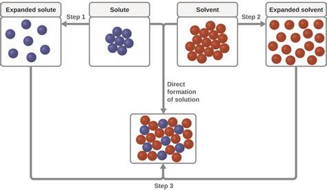 11 2 The Dissolution Process Chemistry Libretexts