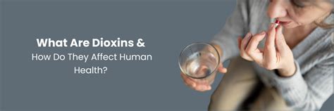 Understanding Dioxins Impact On Human Health