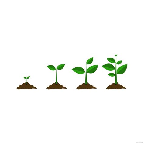 Free Growth Tree Vector Eps Illustrator  Png Svg