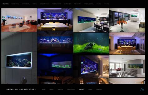 Aquarium Architecture Camber