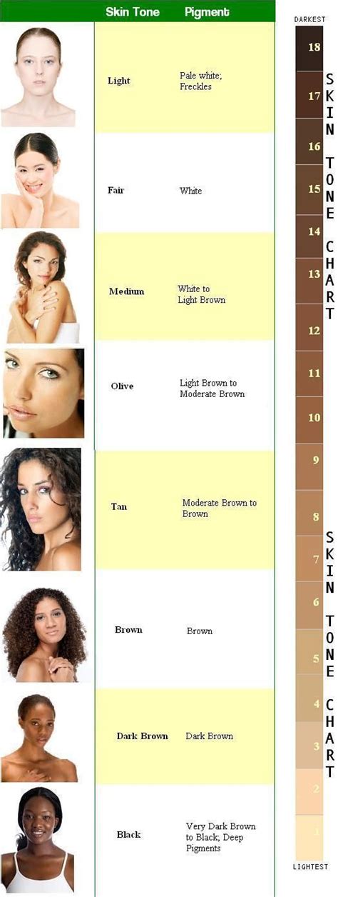 Everything 4 Writers Skin Tones Human Skin Colours Range From Palest