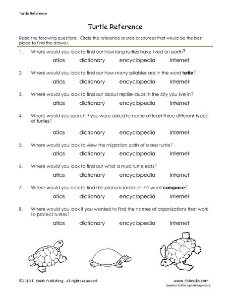 Turtle Reference Worksheet For 6th 7th Grade Lesson Planet