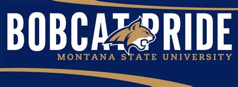 🔥 Free Download Pin Montana State Bobcat Football Logo By Thomast93