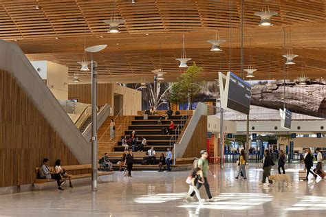 Blackswans Greenshoots Worlds Largest Mass Timber Airport Opens In