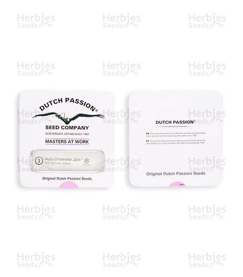 Auto Cinderella Jack Dutch Passion