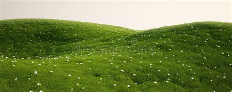 Rolling Grass Landscape Flowers Stock Illustrations 929 Rolling Grass