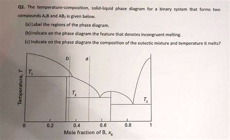 Solved Q1 The Temperature Composition Solid Liquid Phase Diagram For A Binary System That