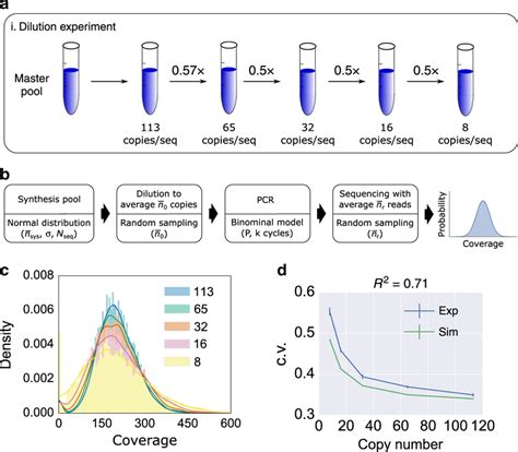 Dilution Pcr Experiment A The Experimental Workflow A Master Dna Pool