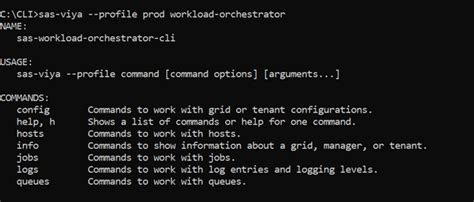 Sas Viya Workload Orchestrator Cli Plug In Sas Users