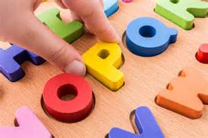 Peroxisomas Function And Structure Evidence Network