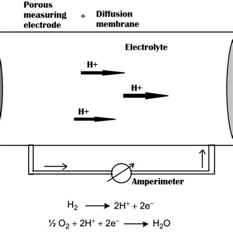 Electrochemical Sensor Working Download Scientific Diagram