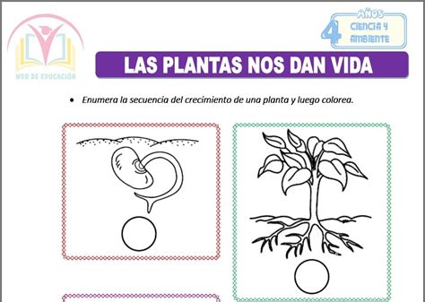 Las Plantas Nos Dan Vida Para Cuatro Años Web De Educación