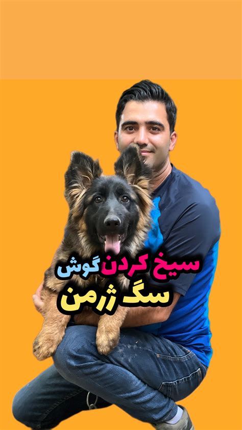 ‎آموزش سگ ژرمن پرورش مشاور تغذیه سگ‎ ‎ 👌مکمل گلوکوزامین برای سگ