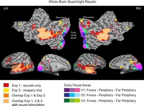 Results Of The Whole Brain Searchlight Analysis For Experiments 14