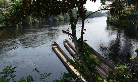 Salonga National Park Congo Tour Focus East Africa Tours