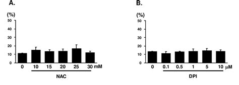 Figure 4 From Role Of Reactive Oxygen Species In Transforming Growth Factor β1 Inuduced