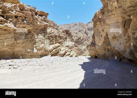 Anza Borrego Desert State Park Is Californias Largest State Park Its