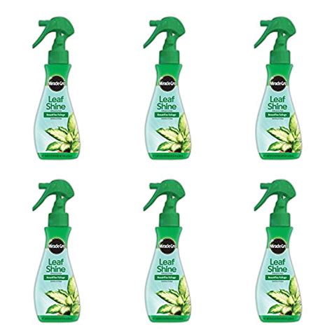Best Leaf Cleaner For Plants And How To Use