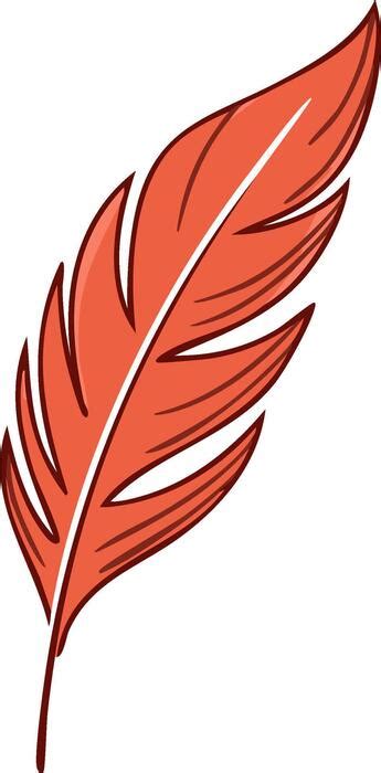 Feather Cartoon Vector Art Icons And Graphics For Free Download