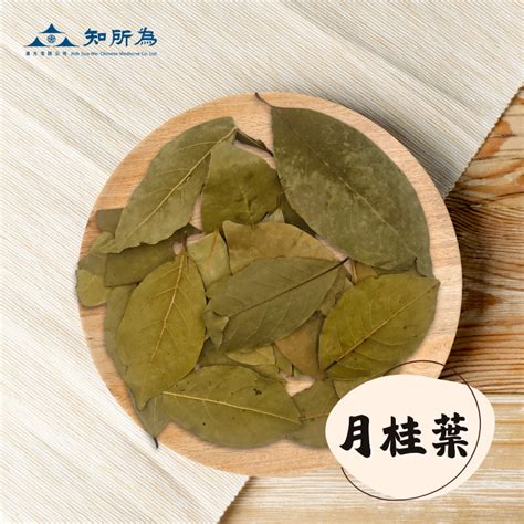 【知所為漢方】月桂葉 香辛調味料 佐料 調味料 滷包材料 燉湯香料 熱紅酒香料 蝦皮購物