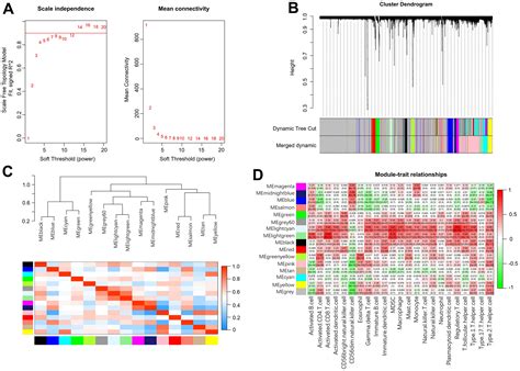 Identification Of M6a Regulator Mediated Rna Methylation Modification Patterns And Key Immune