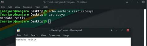 Linux te terminalden dosyanın içine yazdırmak echo komutu Reitix